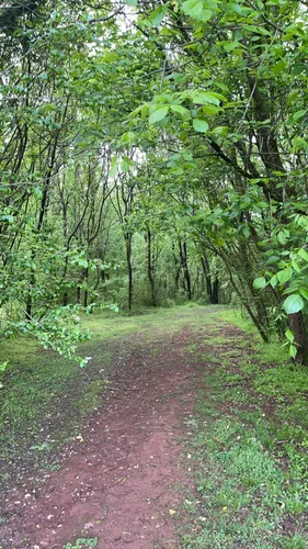 Best Hikes and Trails in Trails Park Loop | AllTrails