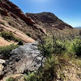 Yellow Knolls Trail, Utah - 437 Reviews, Map | AllTrails