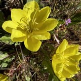 Yellow Knolls Trail, Utah - 437 Reviews, Map | AllTrails