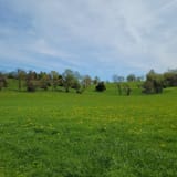 Chase Farm, Rhode Island - 275 Reviews, Map | AllTrails