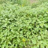 Oso Bay Wetlands Preserve, Texas - 384 Reviews, Map | AllTrails