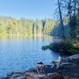 Killarney Lake Loop , British Columbia, Canada - 408 Reviews, Map ...