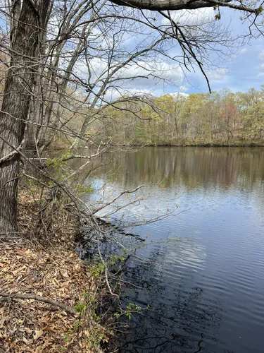 Best River Trails in Seekonk | AllTrails