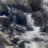 Burch Creek Trail, Utah - 755 Reviews, Map | AllTrails