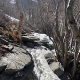 Burch Creek Trail, Utah - 755 Reviews, Map | AllTrails