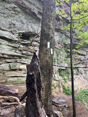 Best Hikes and Trails in Justin P. Wilson Cumberland Trail State Park ...