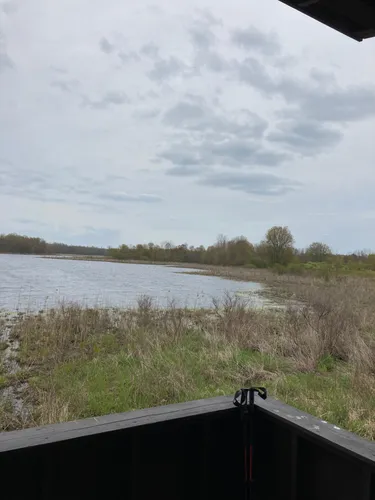 Best Hikes and Trails in Three Rivers Wildlife Management Area | AllTrails