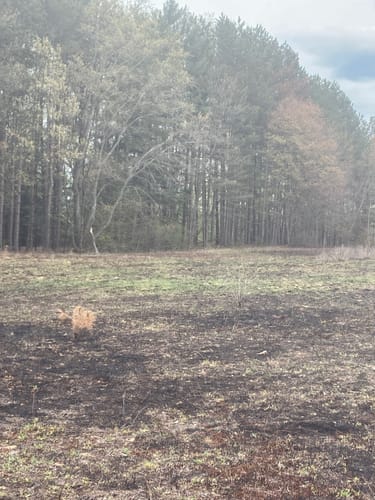 Best Hikes and Trails in Three Rivers Wildlife Management Area | AllTrails