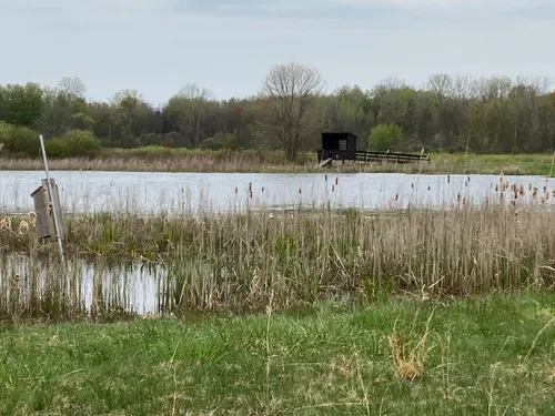 Best Hikes and Trails in Three Rivers Wildlife Management Area | AllTrails