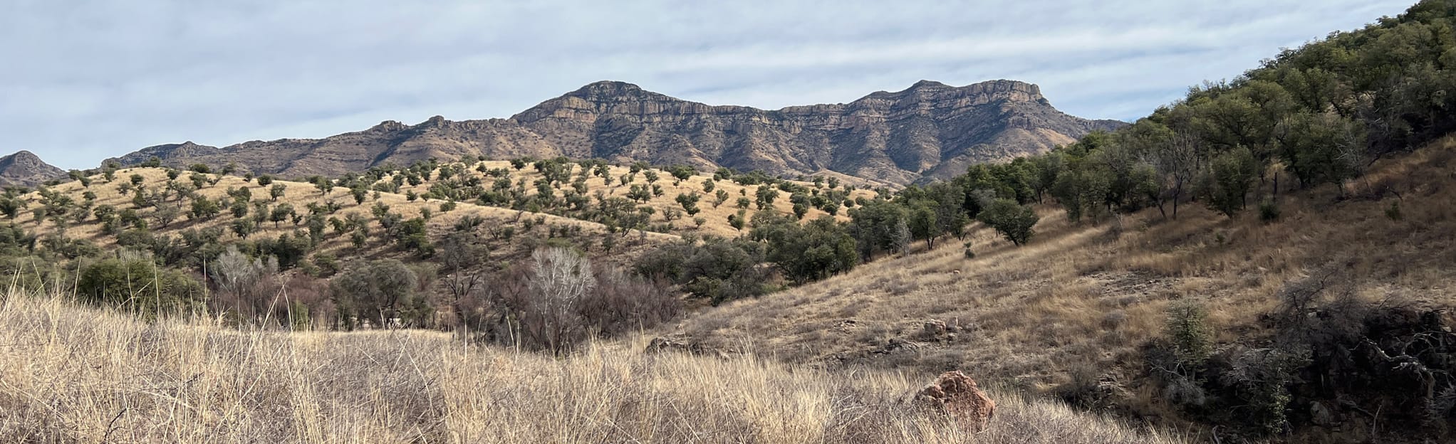 Sycamore Canyon Trail: 50 Reviews, Map - Arizona | AllTrails