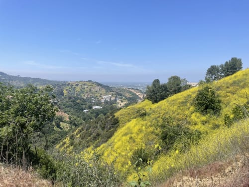 Best Hikes and Trails in Wilacre Park | AllTrails