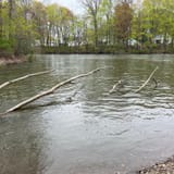 Mohawk River Trail, New York - 160 Reviews, Map | AllTrails
