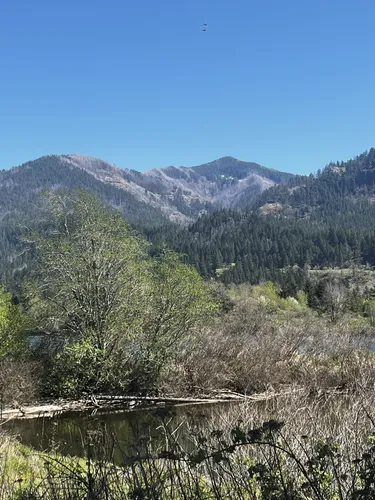 Best Hikes and Trails in Cascade Locks easyCLIMB trailhead | AllTrails