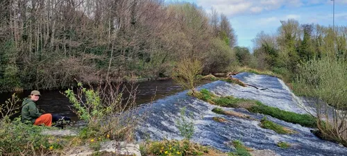 Best Hikes and Trails in Dodder Valley Park | AllTrails