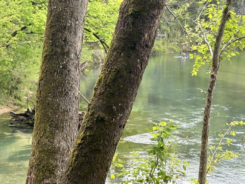 Best Hikes and Trails in Devils Backbone Wilderness | AllTrails