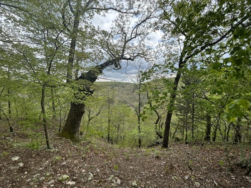 Best Hikes and Trails in Devils Backbone Wilderness | AllTrails