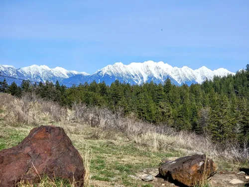 2023 Best Easy Trails in Cranbrook Community Forest Recreation Site ...