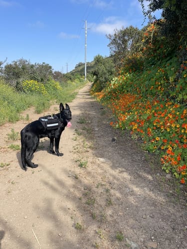 Best Hikes and Trails in Otay Valley Regional Park | AllTrails