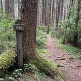 Miner's Ridge Trail, Clintonia Trail, and Gold Bluffs Beach Loop ...