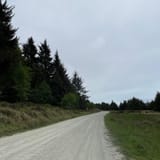 Miner's Ridge Trail, Clintonia Trail, and Gold Bluffs Beach Loop ...