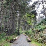 Miner's Ridge Trail, Clintonia Trail, and Gold Bluffs Beach Loop ...