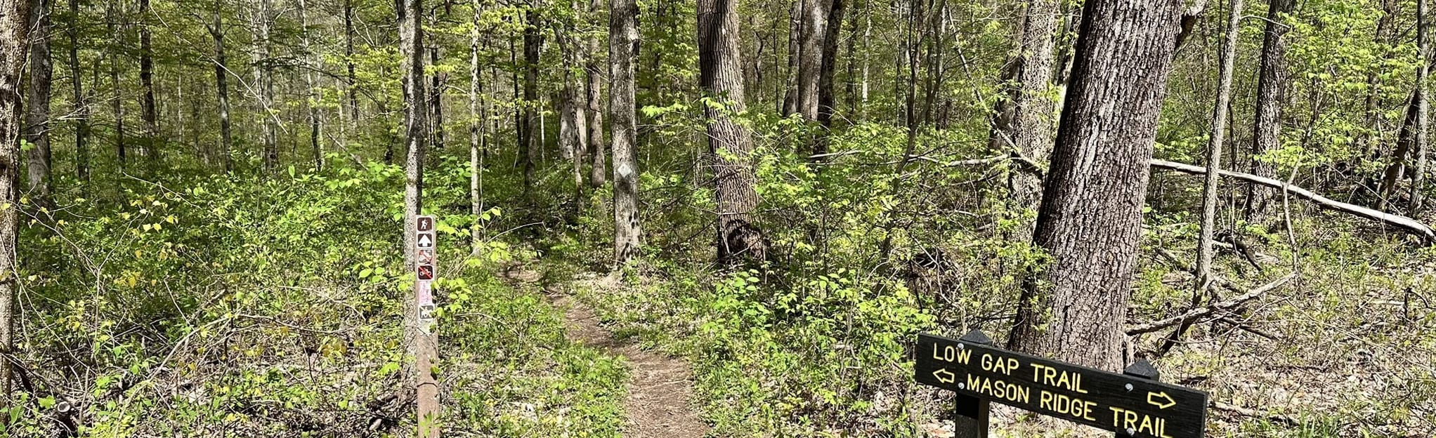 Morgan Monroe Hike Bike Trail: 105 Reviews, Map - Indiana | AllTrails