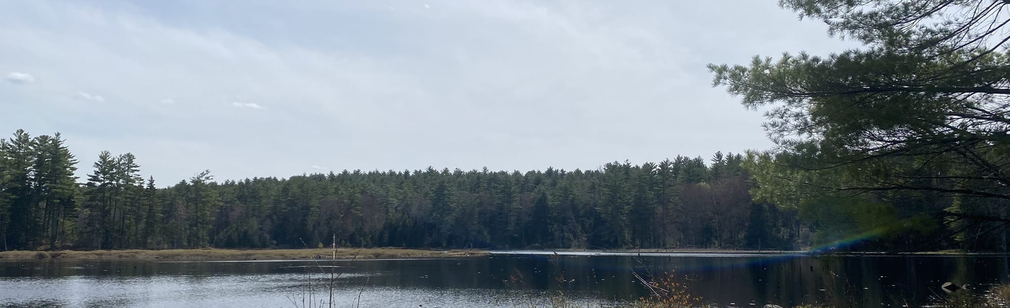 Davis Path Trail, New Hampshire - 16 Reviews, Map | AllTrails