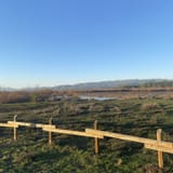 Tahoe Keyes Loop, California - 338 Reviews, Map | AllTrails