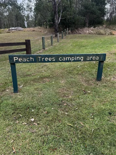 Best Hikes and Trails in Jimna State Forest | AllTrails