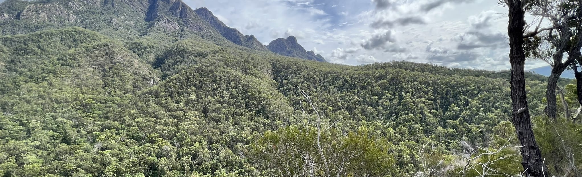 Yellow Pinch Track, Queensland, Australia - 91 Reviews, Map | AllTrails