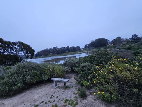 Best Hikes and Trails in Coal Oil Point Reserve | AllTrails