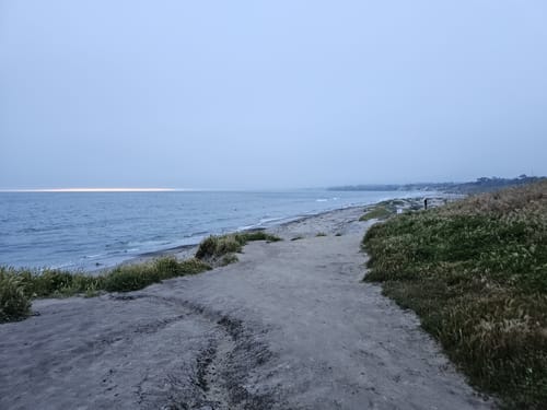 Best Hikes and Trails in Coal Oil Point Reserve | AllTrails