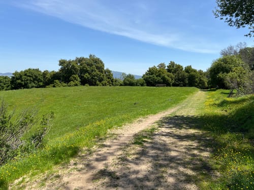2023 Best 10 Trails and Hikes in San Ramon | AllTrails