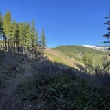 Hidden Falls via Tarbell Trail , Washington - 623 Reviews, Map | AllTrails