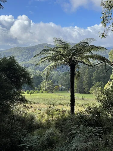 10 Best Hikes and Trails in Yarra Ranges National Park | AllTrails