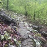 Bench Trail, Arkansas - 511 Reviews, Map | AllTrails