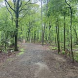 Bench Trail, Arkansas - 474 Reviews, Map | AllTrails