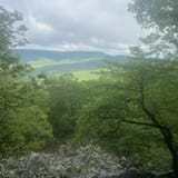 Bench Trail, Arkansas - 511 Reviews, Map | AllTrails