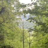 Bench Trail, Arkansas - 474 Reviews, Map | AllTrails