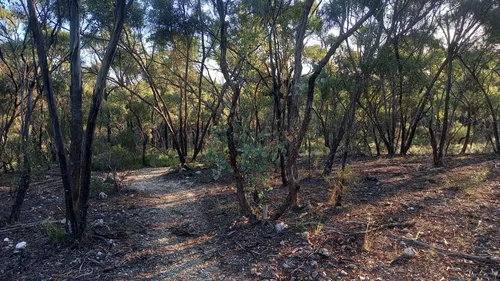 Best Easy Trails in Greater Bendigo National Park | AllTrails