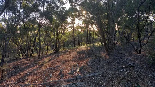Best Easy Trails in Greater Bendigo National Park | AllTrails