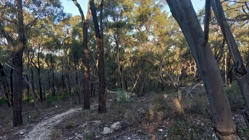 Best Easy Trails in Greater Bendigo National Park | AllTrails