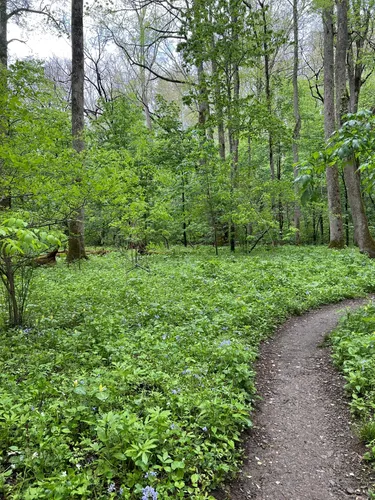10 Best Trails and Hikes in Townsend | AllTrails