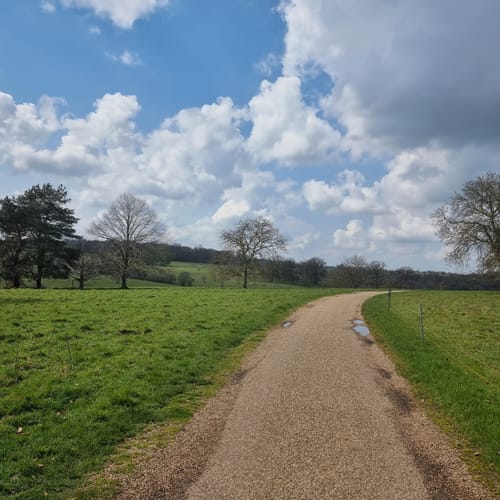 Best Hikes and Trails in Ickworth Park | AllTrails
