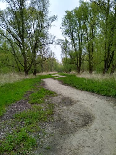 2023 Best Short Trails in Nieuw Land National Park | AllTrails