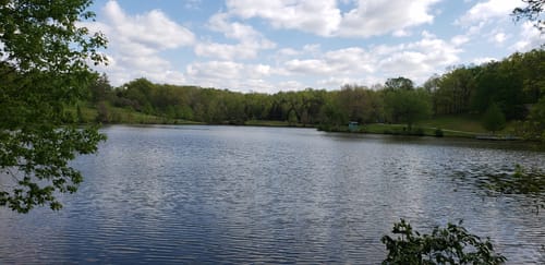 Best Hikes and Trails in Bee Tree County Park | AllTrails