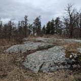 Blueberry Rock, Manitoba, Canada - 245 Reviews, Map | AllTrails