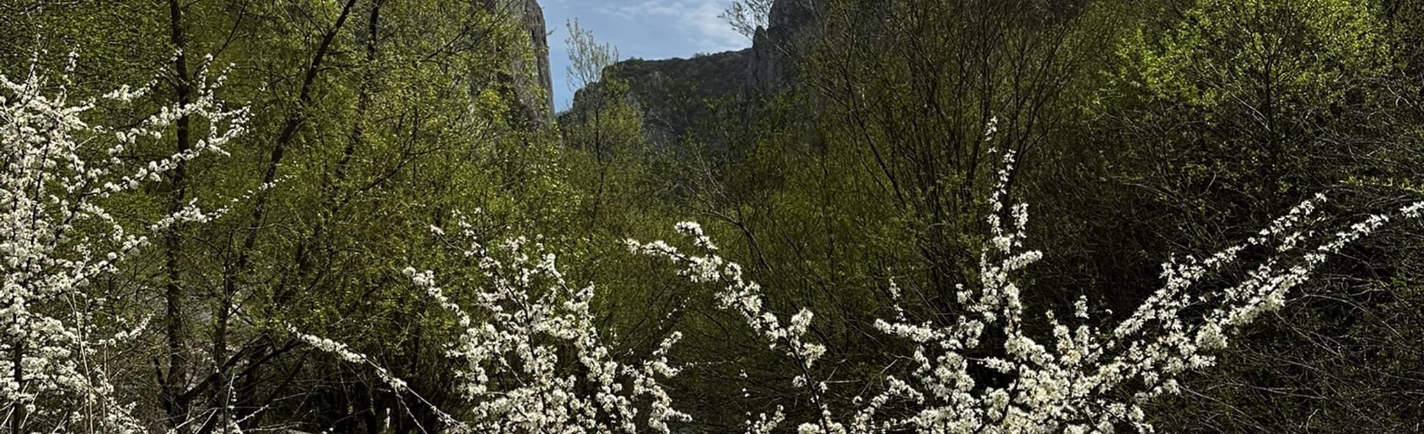 Circuitul Cheilor Turzii: 56 Reviews, Map - Cluj, Romania | AllTrails