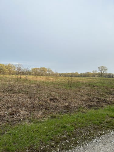 Best Hikes and Trails in Red Gate Woods | AllTrails