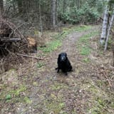 Gros Cap Loop, Michigan - 105 Reviews, Map | AllTrails